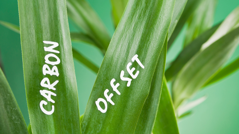 The Real Eco State | A Snapshot of the Green Market